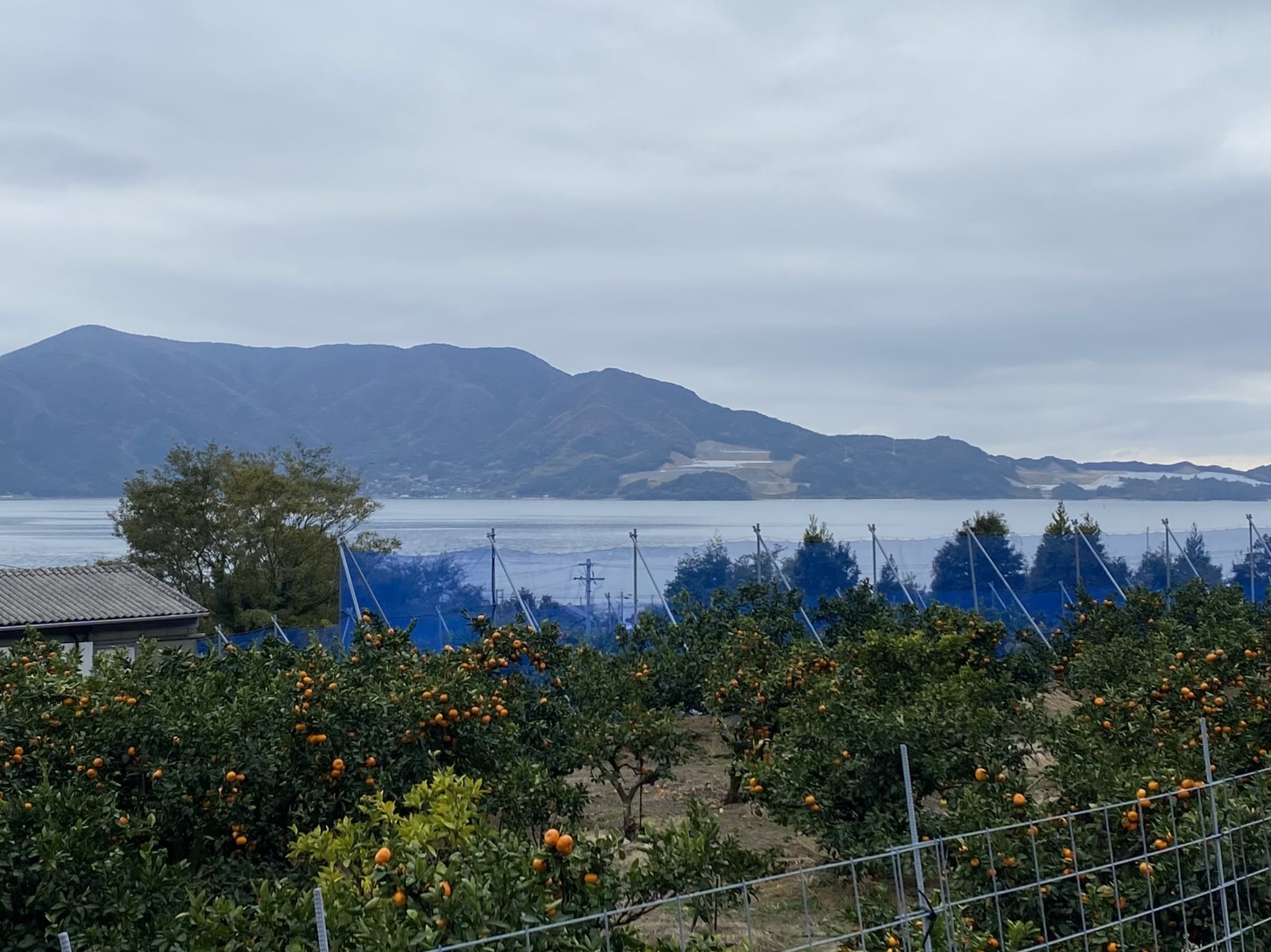 国民民主党山口県連 (@kokumin_ymgc) / Twitter