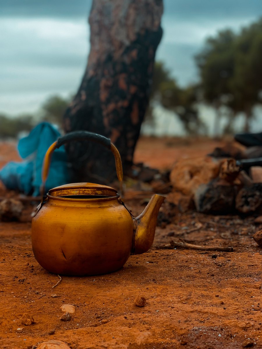 Hamady Gh on Twitter: "🧑‍🍳🌲"