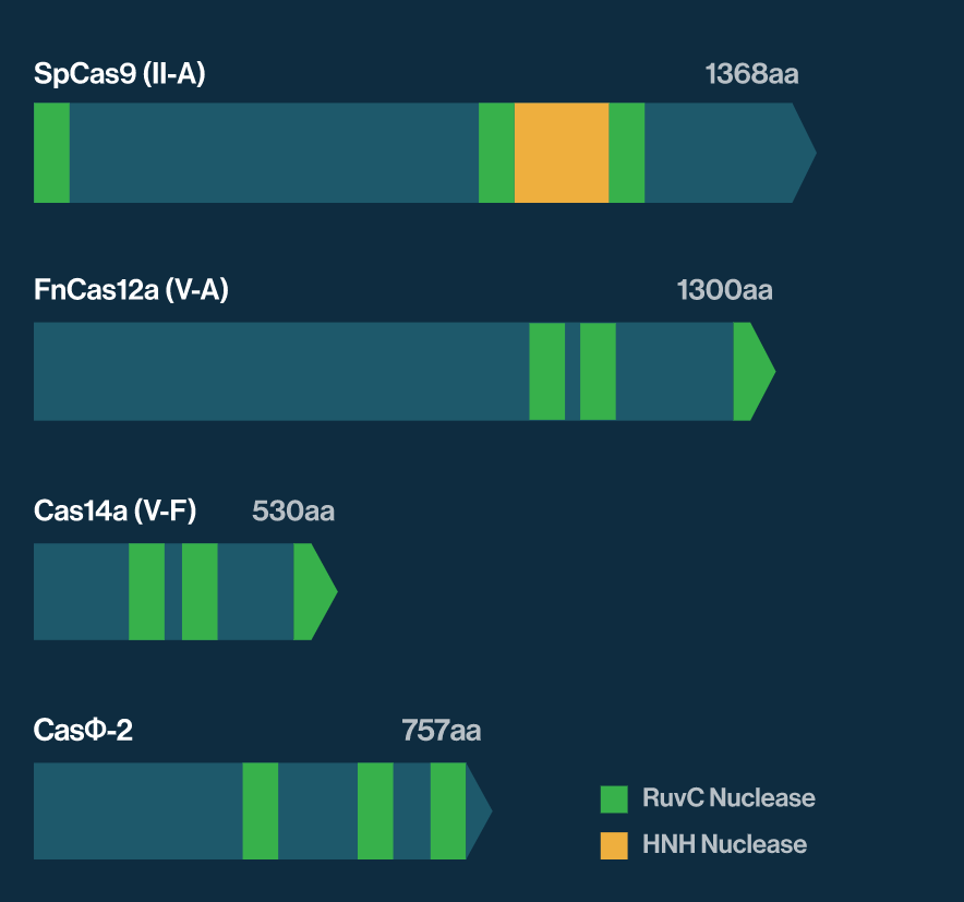🧵Types of CRISPR Here we will look at the discovery of CAS9 and the ...