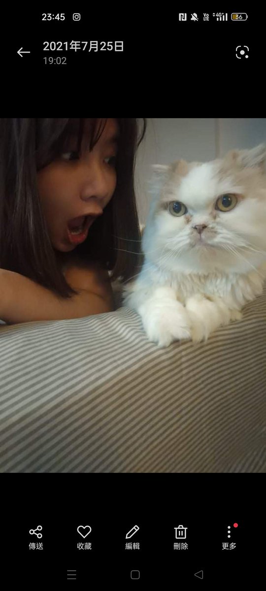 2022/12/3 22：54 毛毛離開了 吳夢夢Mon 台灣🇹🇼 @monmon_tw