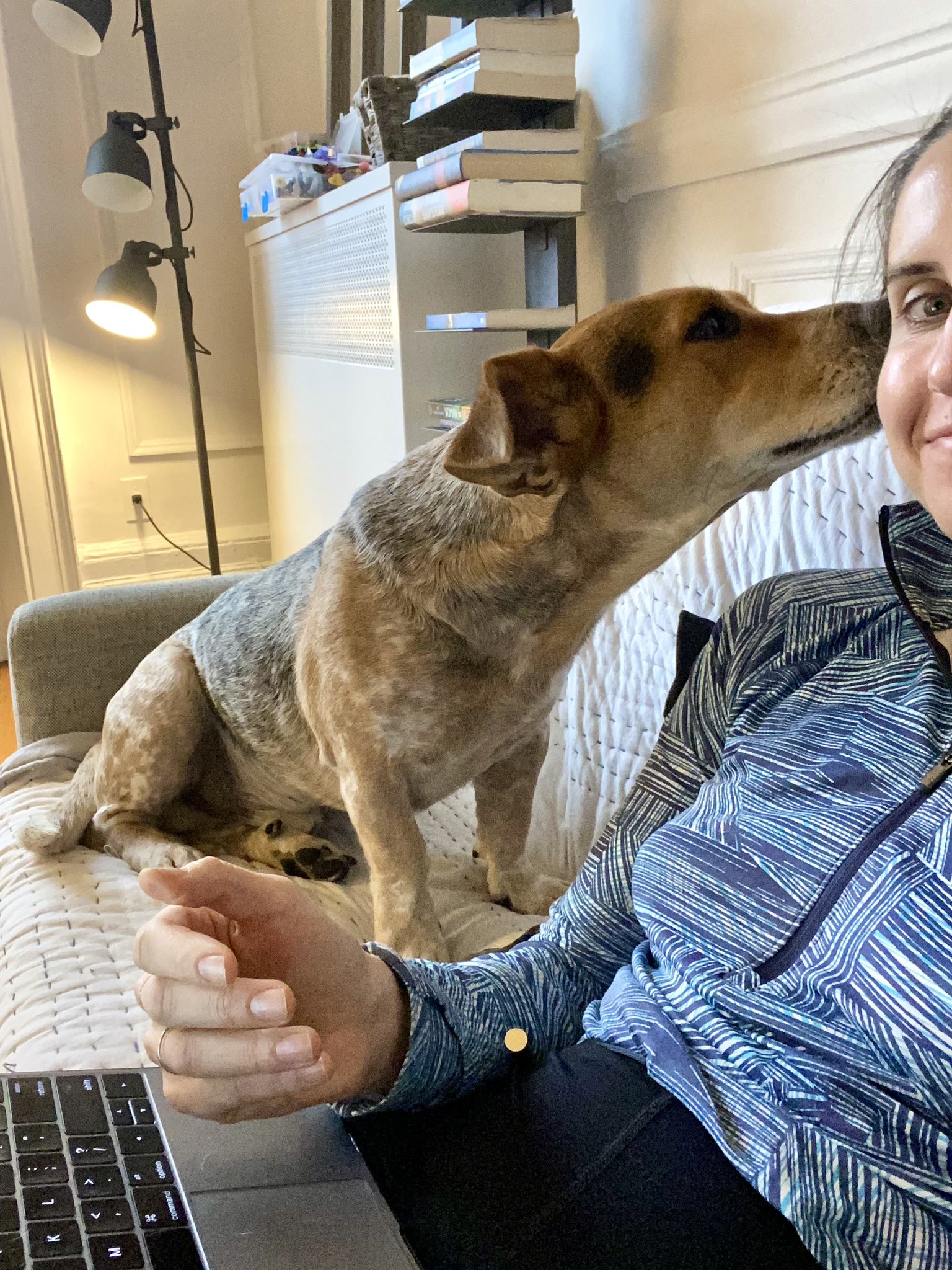 Sophie Vershbow on Twitter: "Simon too https://t.co/clTWCid7hY" / Twitter