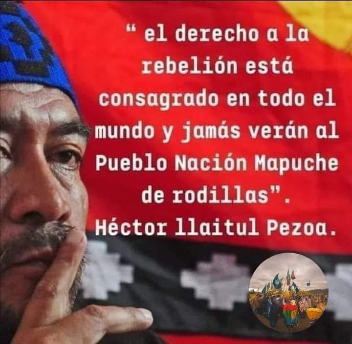 Mekanic On Twitter Rt Fueraforestales La Fiscalía Regional De La