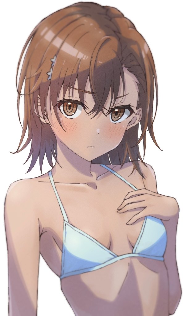 The Harem&Ecchi Club on Twitter: "Mikoto Misaka from the Toaru series Art by @halya_meri"