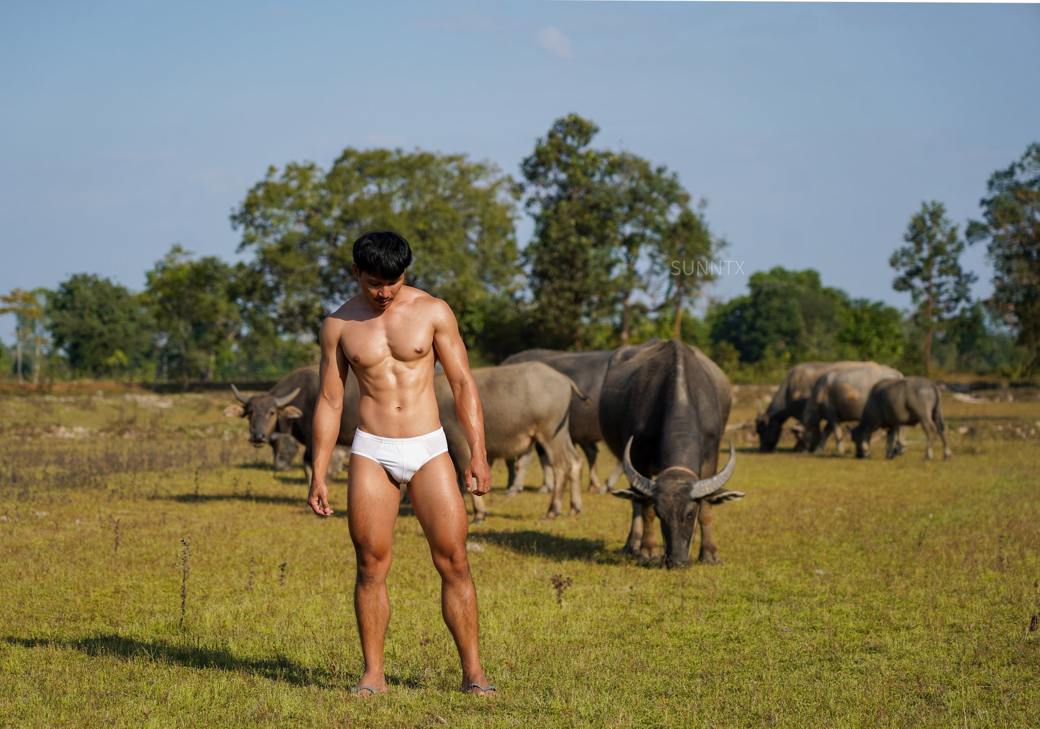 SUNNTX on Twitter: "ภาพควายๆ https://t.co/ikcg9F9S6f" / Twitter