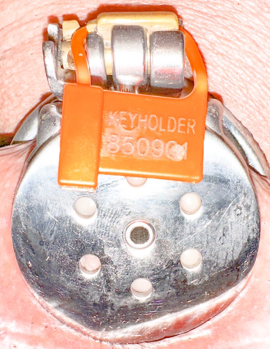 更科 C101 31日土東ヌ43b on Twitter: "850901 やっとフラット貞操具に戻って来ました。 フラットでないタイプは毎度外しての洗浄が大変なので尿道拘束タイプのフラット ...