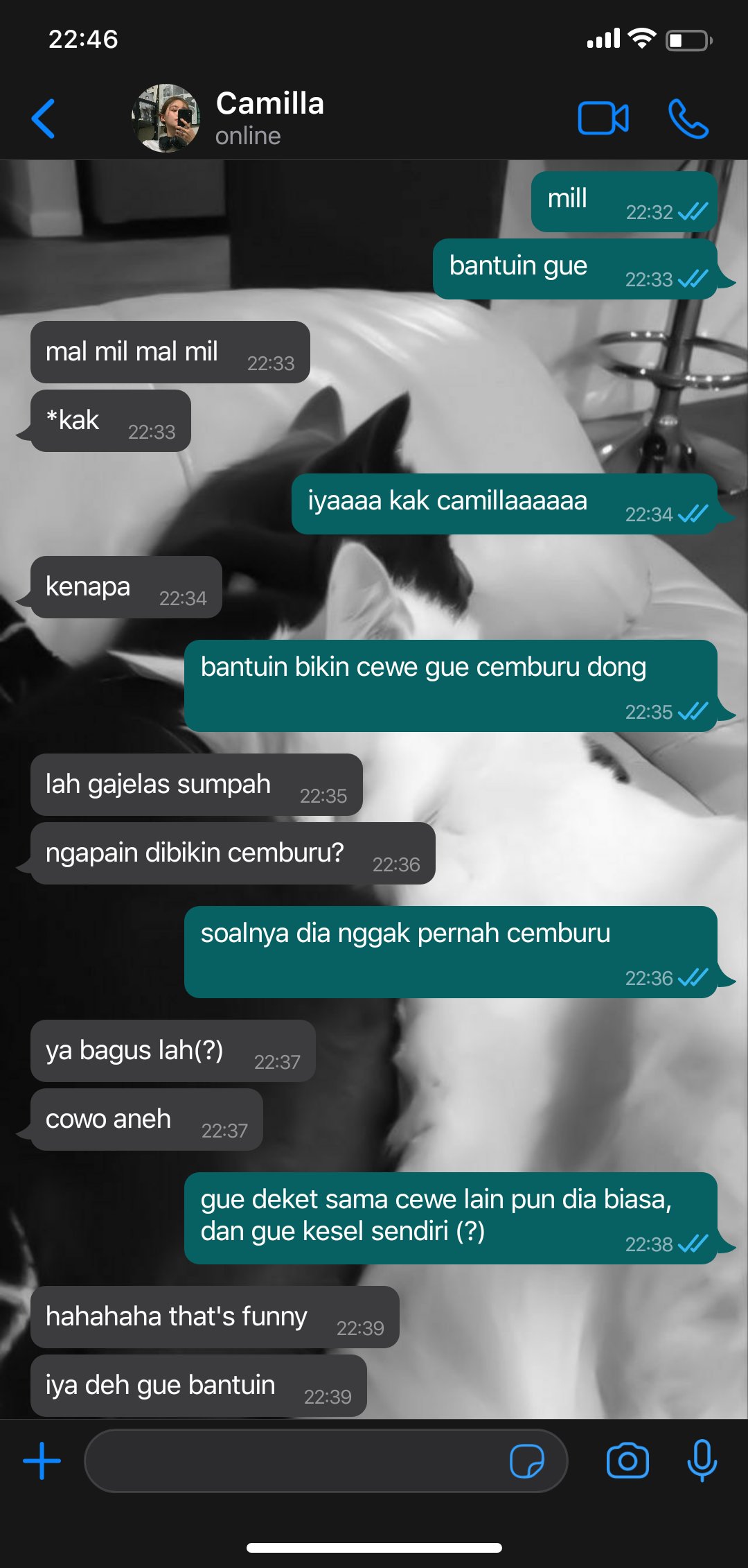 dippie on Twitter: "03 https://t.co/yQ5HamdFLd" / Twitter