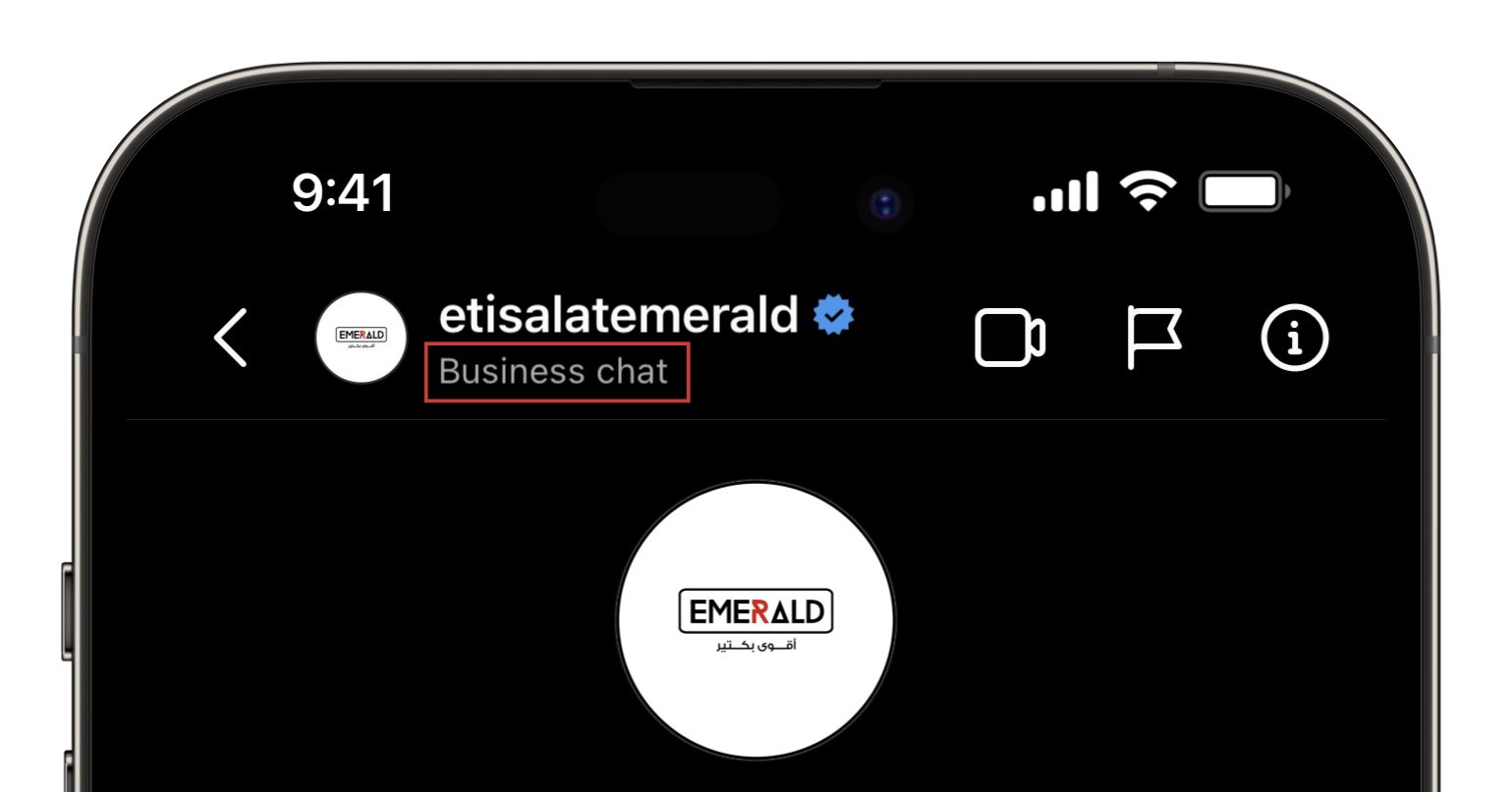 How does Instagram Business Chat Work? (2024) How does Instagram Business Chat Work? (2024)
