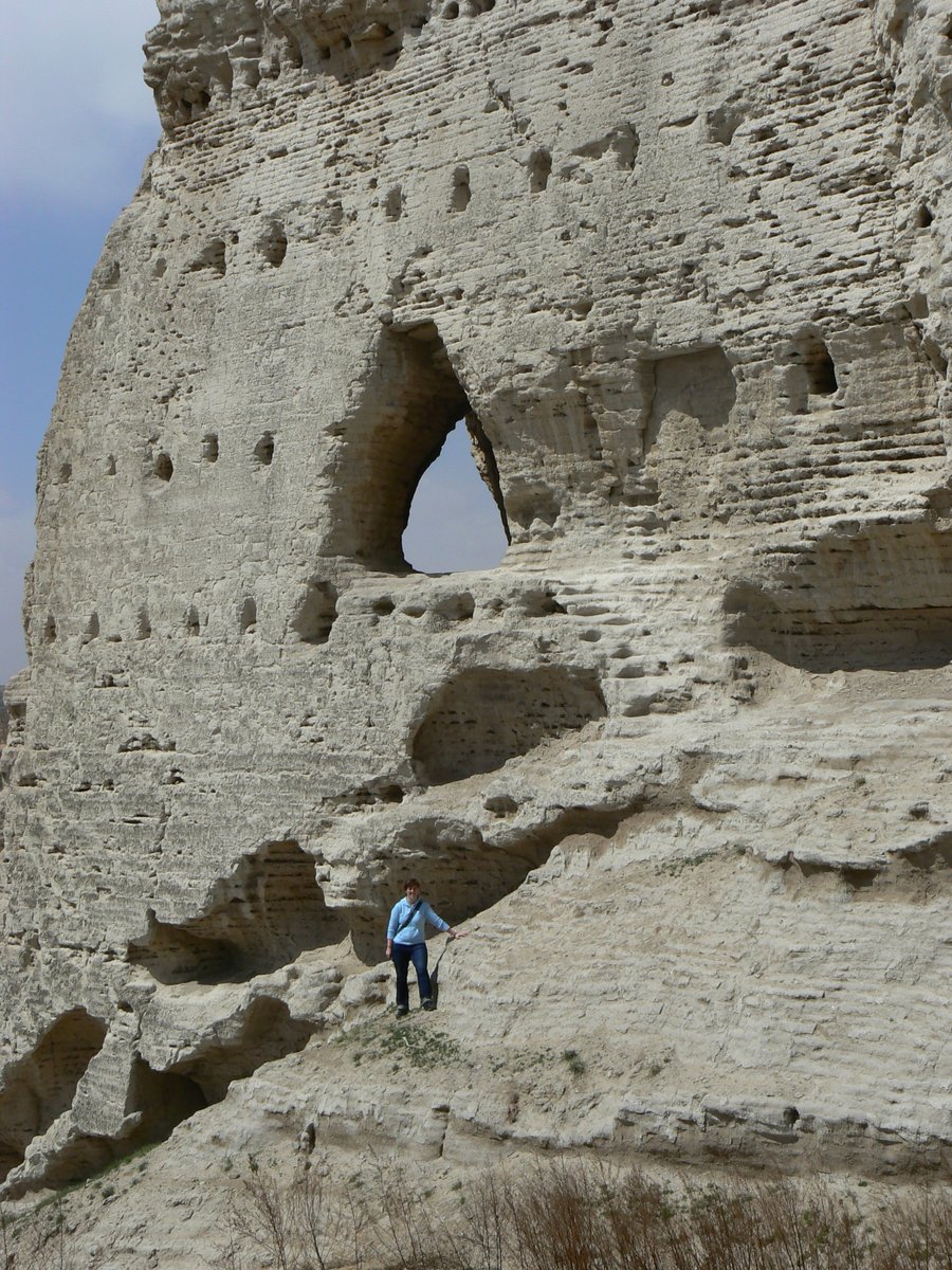 Thread by @snekotron on Thread Reader App – Thread Reader App