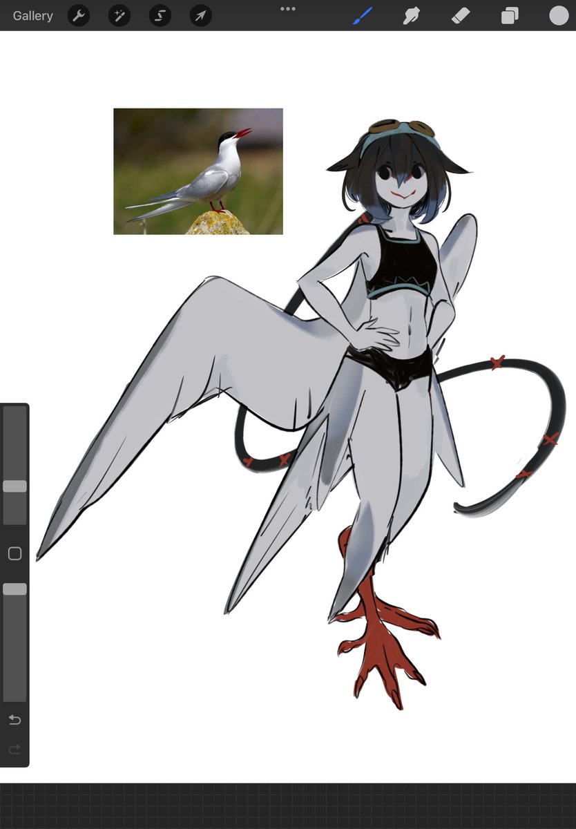 「Arctic tern ️ 🐦 」|☀️keldel☀️のイラスト