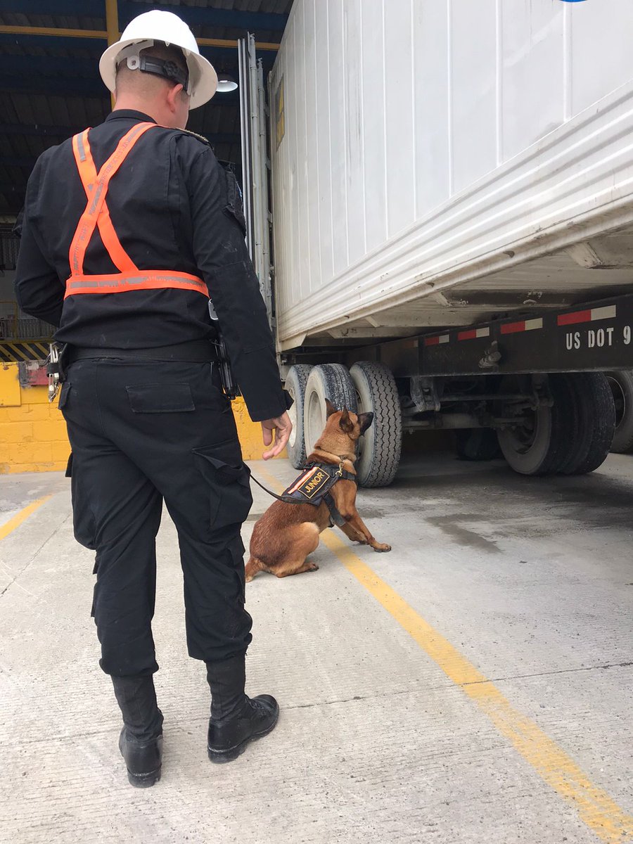 Pnc De Guatemala On Twitter Urgente Sgaia Pnc En Operativo