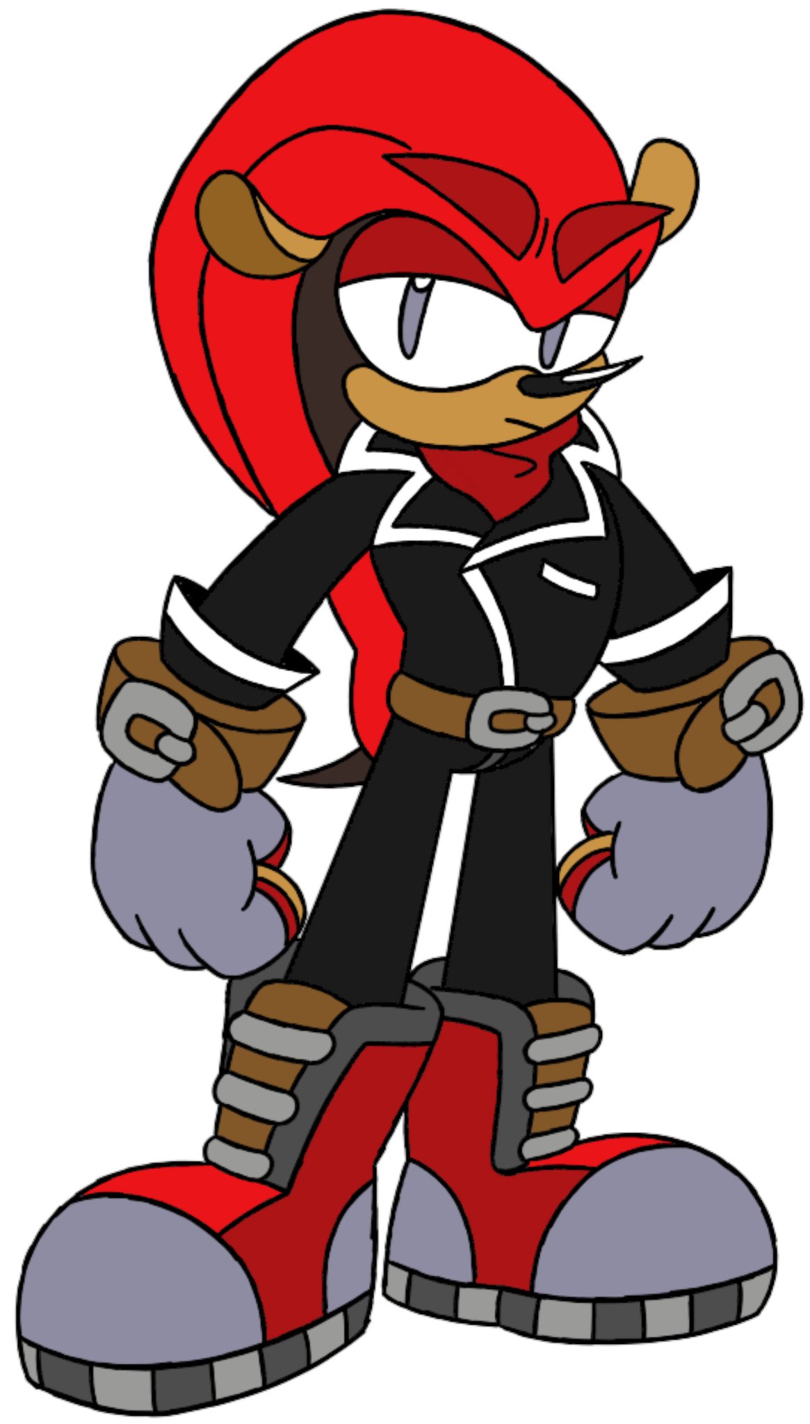 Mighty The Armadillo Sonic Boom