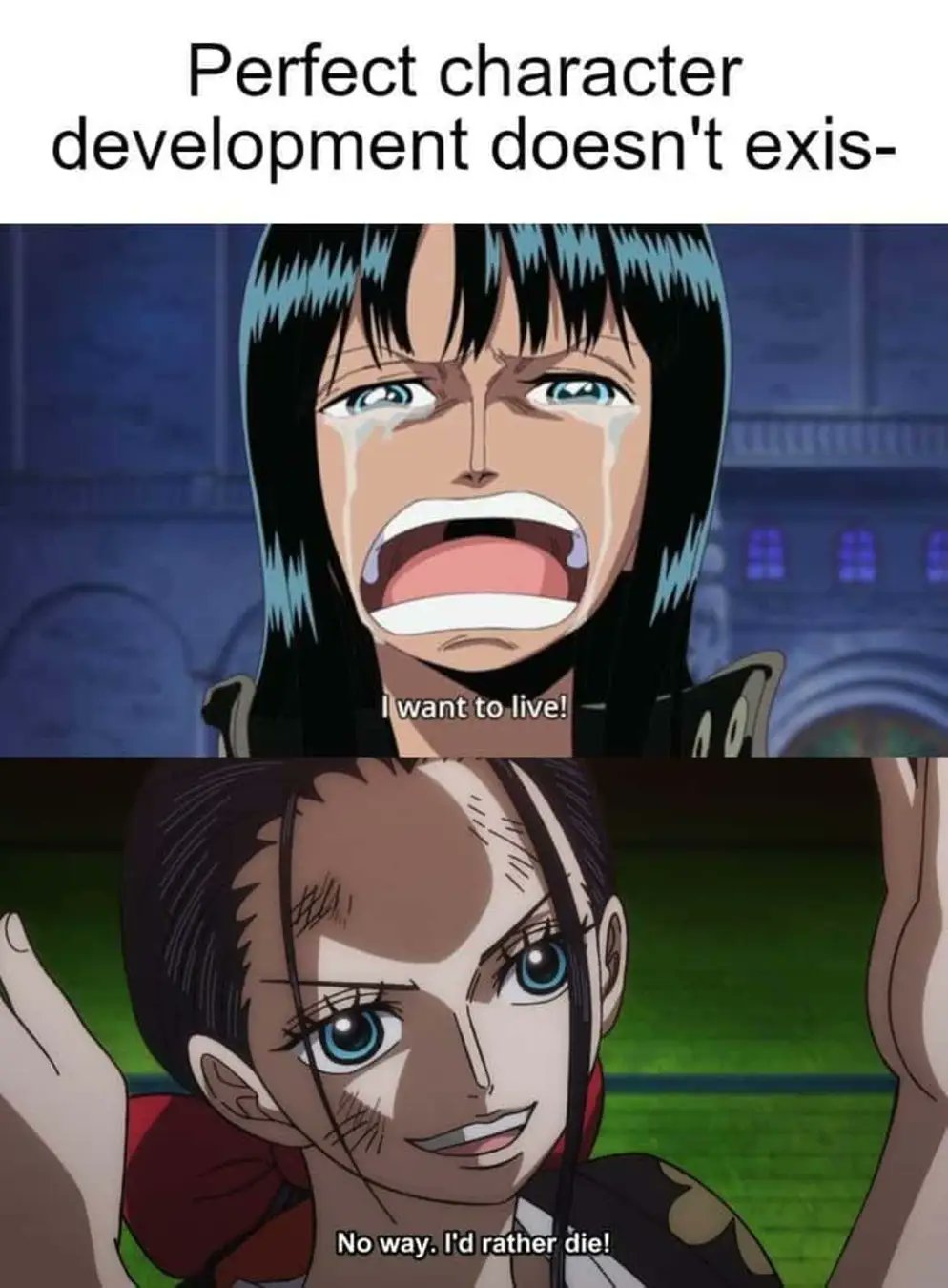 Anime Memes One Piece