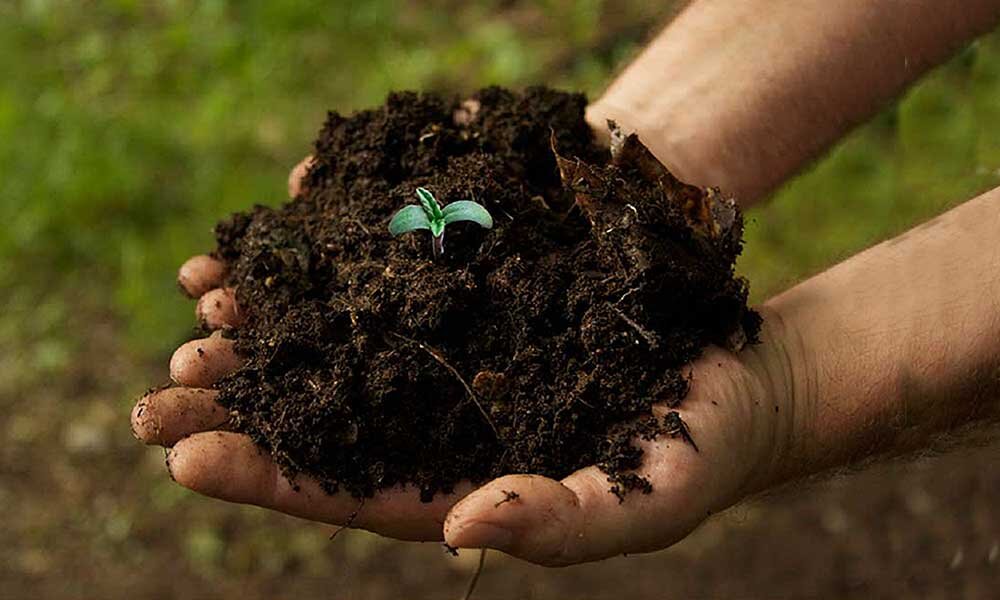 "The only thing that truly builds structure in your soil is life." -Dr ...
