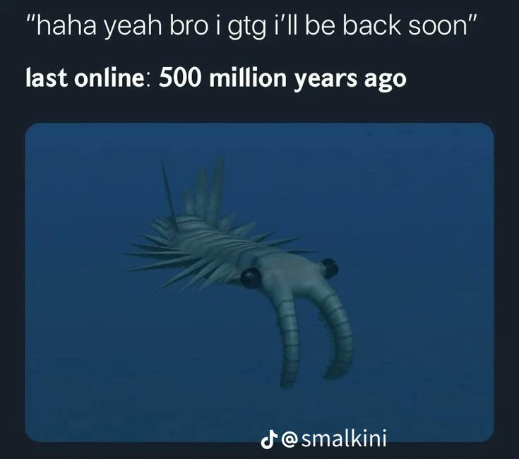 Sam Santala on Twitter: "TikTok has my fucking number because it started sending me memes like this"