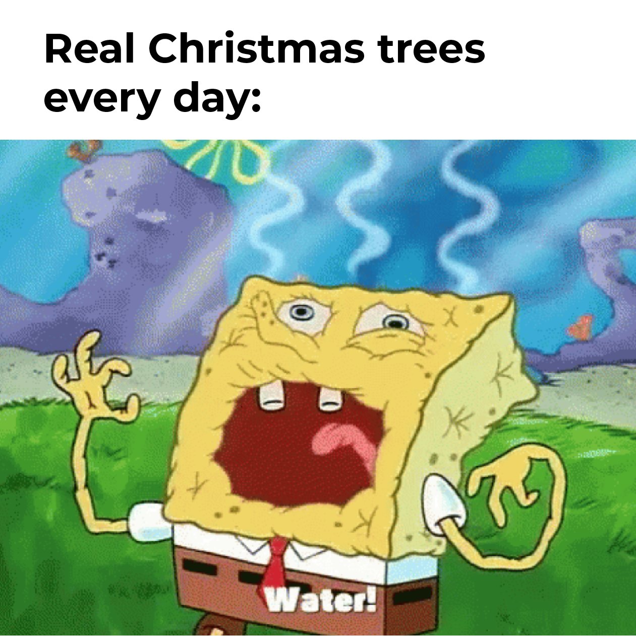 Spongebob I Need It Water Meme