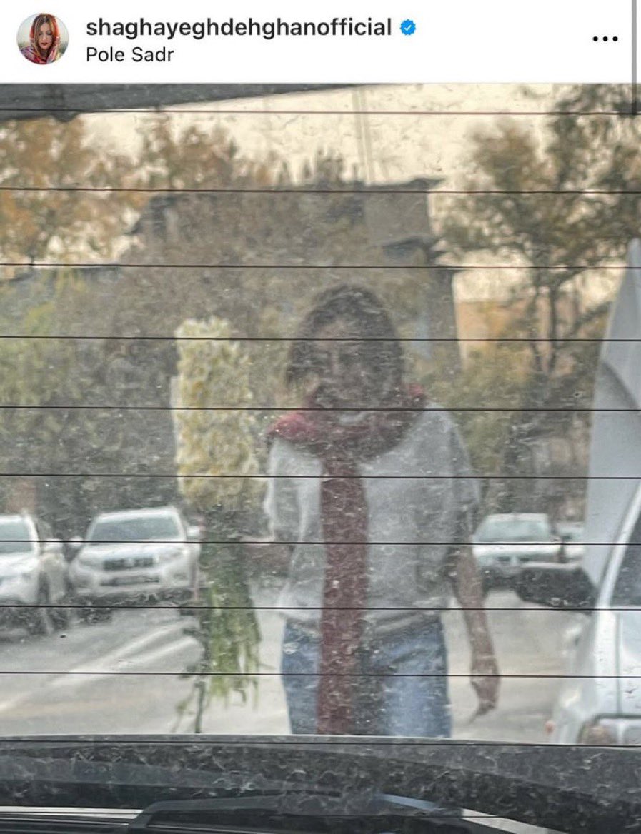 Farid Vahid on Twitter: "La célèbre actrice iranienne Shaghayegh Dehghan est convoquée à la ...