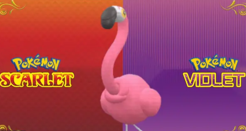 Anna On Twitter Flamigo Doesnt Have A Boring Design Its Not Jsut A Flamingo Its Body Is A