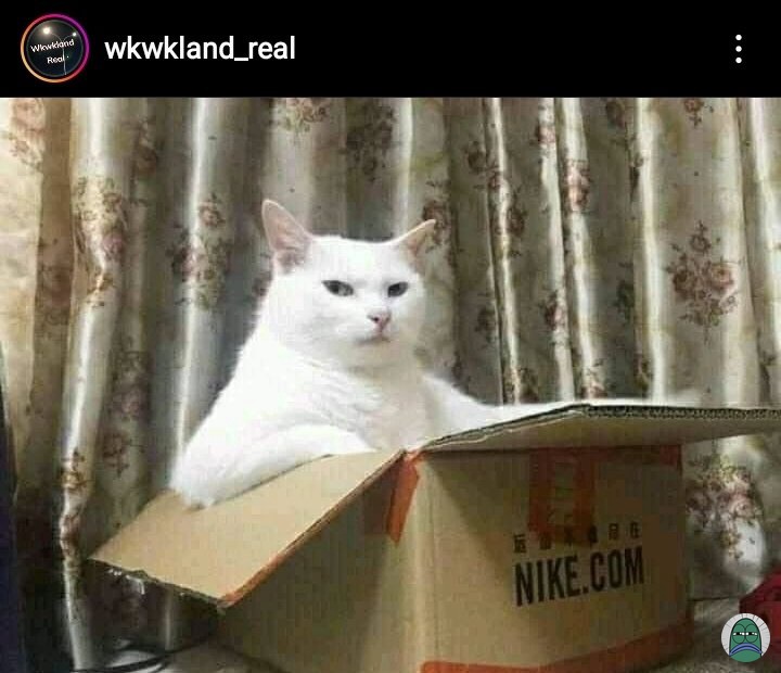 Tanyarl 💚 Rep /delvote utk hapus mfs on Twitter: Tanyarl 💚 Rep /delvote utk hapus mfs on Twitter: