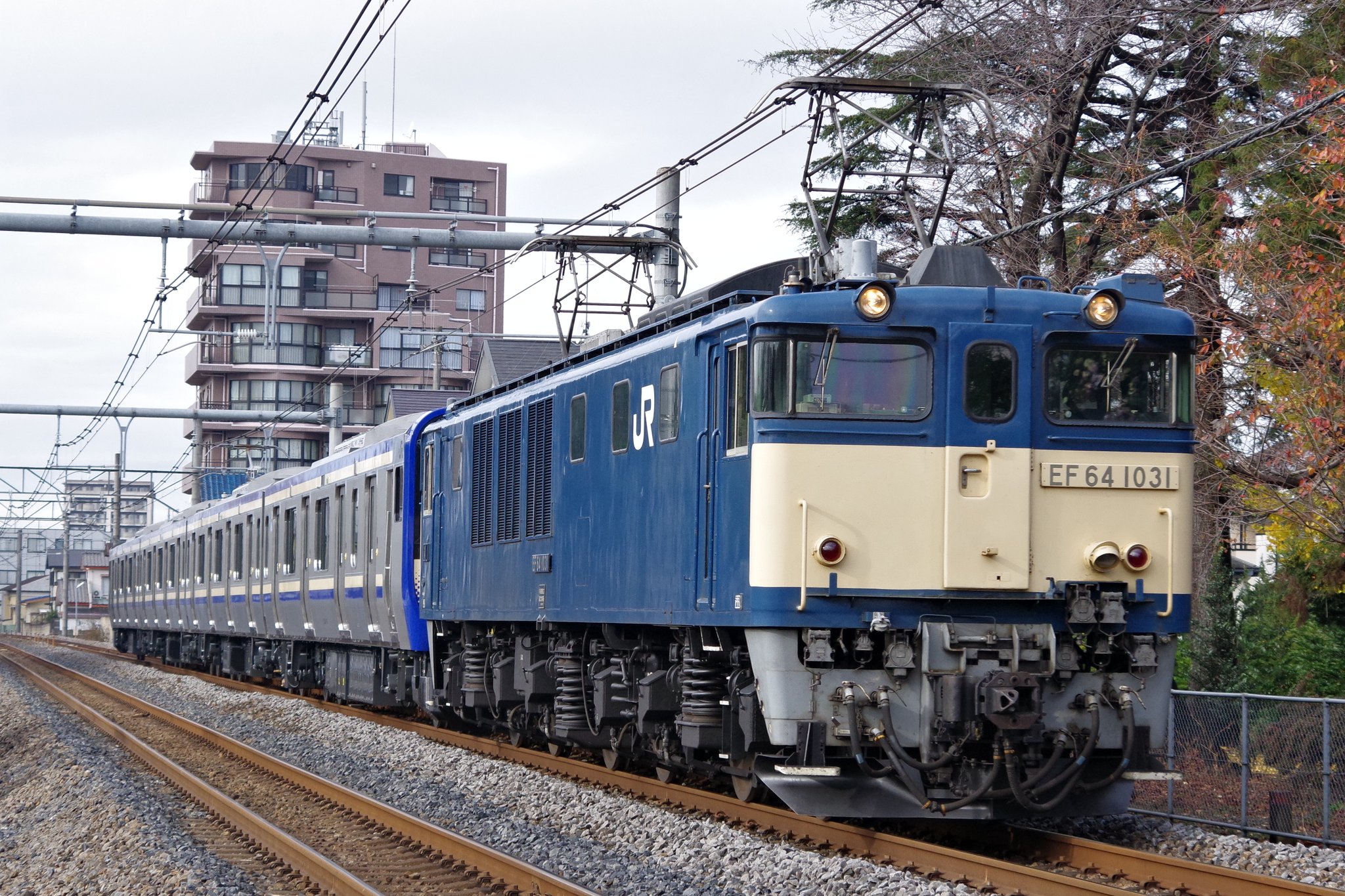 ゆー〓 on Twitter: "2022/12/06 配9728レ、配9645レ EF64 1032+E235系1000番台 J-19編成 4両 越後石山→大船 配給輸送。紅葉の12月 ...