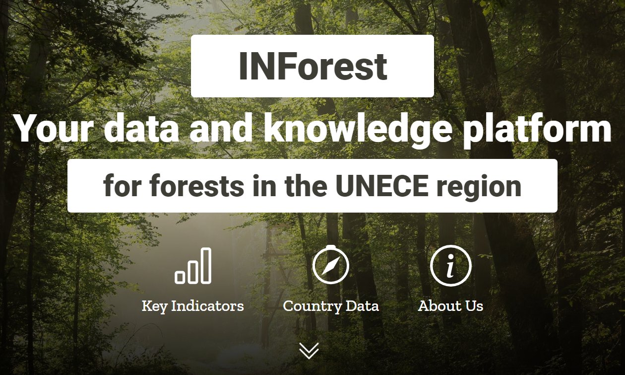 UNECE/FAO Forests (@UNECEForests) / Twitter