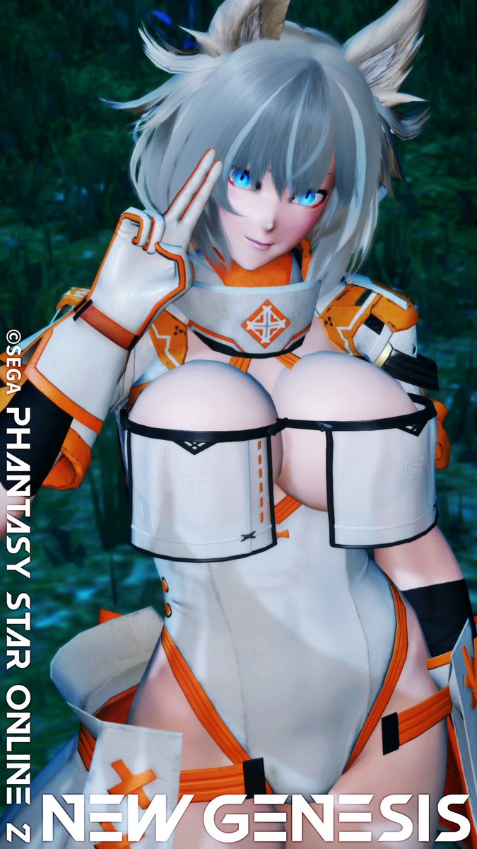 尺чμfυκα｡ :) 🦊🥊 @Ship8 on Twitter: "夜の2つの山 🦊⛰️⛰️ #PSO2NGS #PSO2NGS_SS #メンテの日じゃないけどssを貼る #ma7ロゴ"