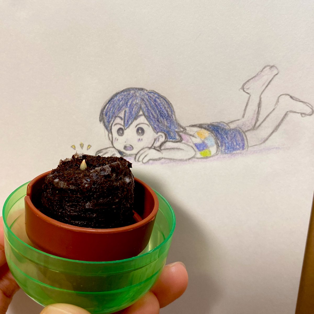 Mincy/ Bobble (COMMS CLOSED) on Twitter: "RT @157Mick: 🌵"