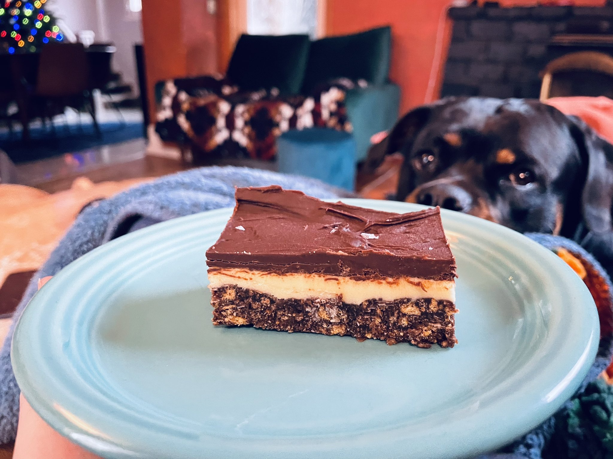 TW Pornstars - Ruby Rapture OF: /RubyandKiwi. Twitter. I made Nanaimo ...