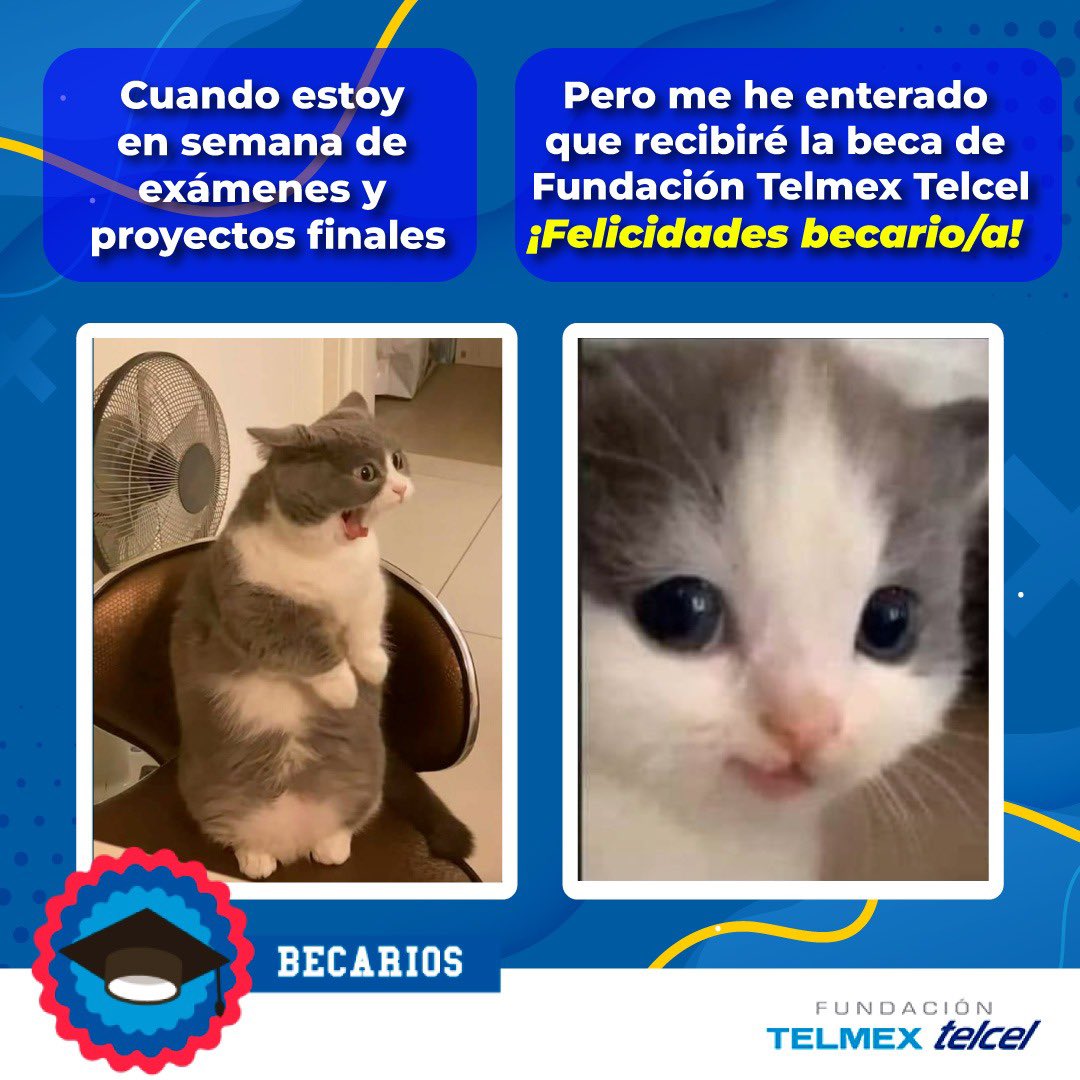 Fund Telmex Telcel on Twitter: Fund Telmex Telcel on Twitter:
