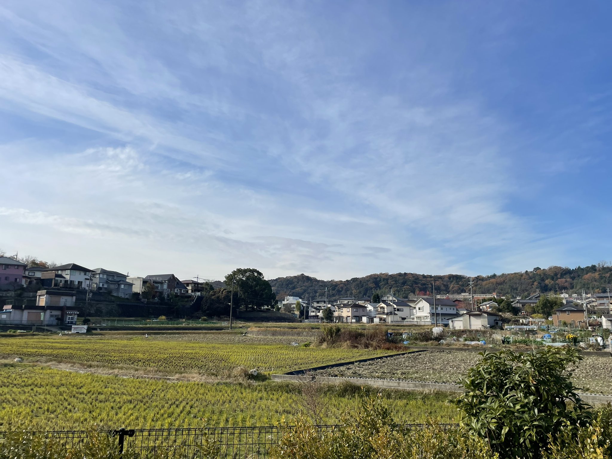 るるお (@avgle_69) / Twitter