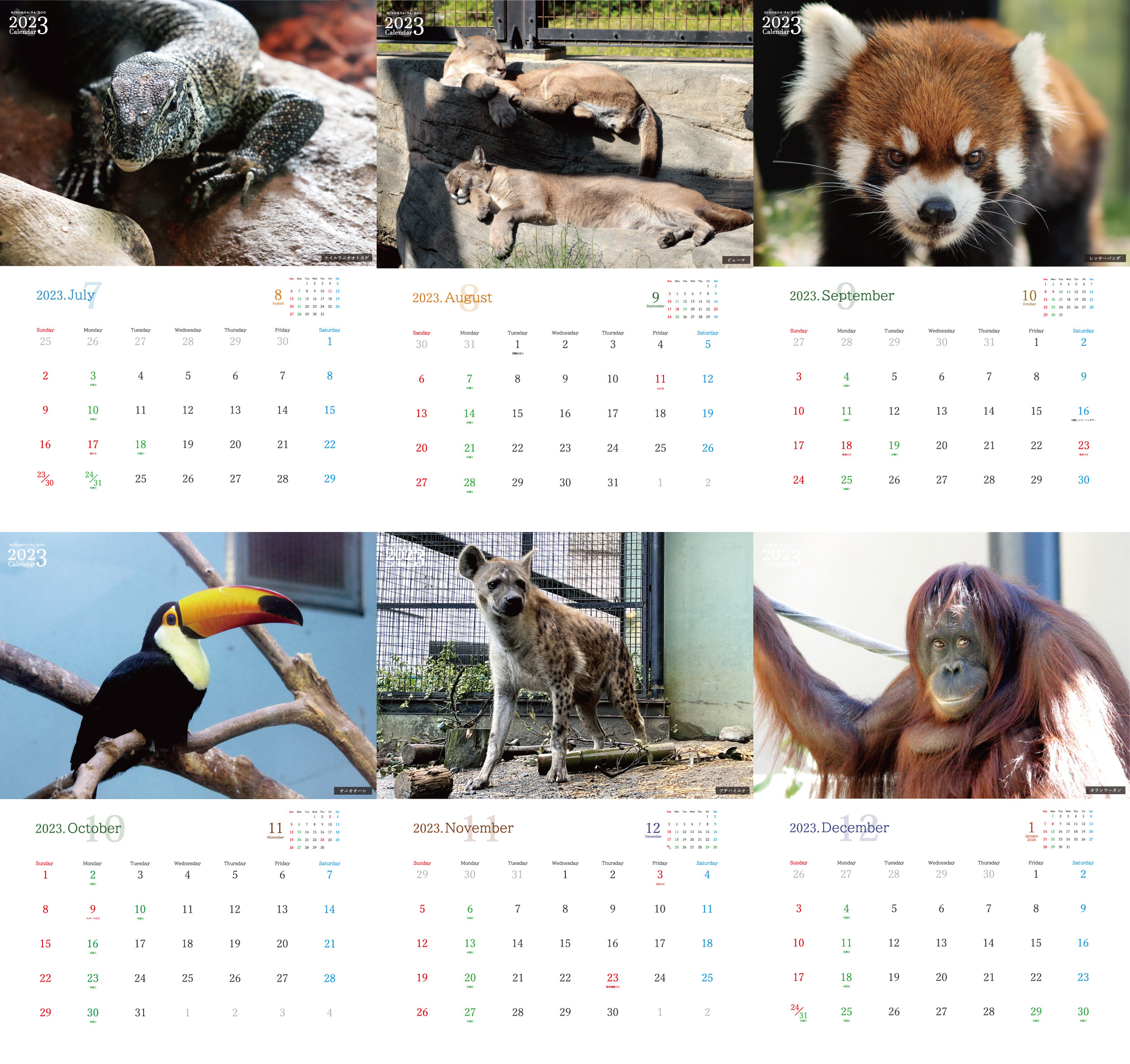 静岡市動物園協会【日本平動物園】 (@nhdzoo_szga) / Twitter