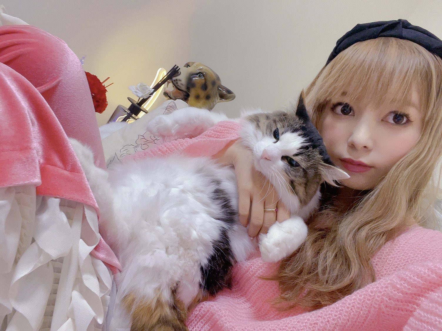 20周年の中川翔子🍒🍉🍫🍇🐈‍⬛🍣 on Twitter: "mmts フリルベロアパンツ https://t.co/n16dV5TzF1 https://t.co/J6V65DV297 ...