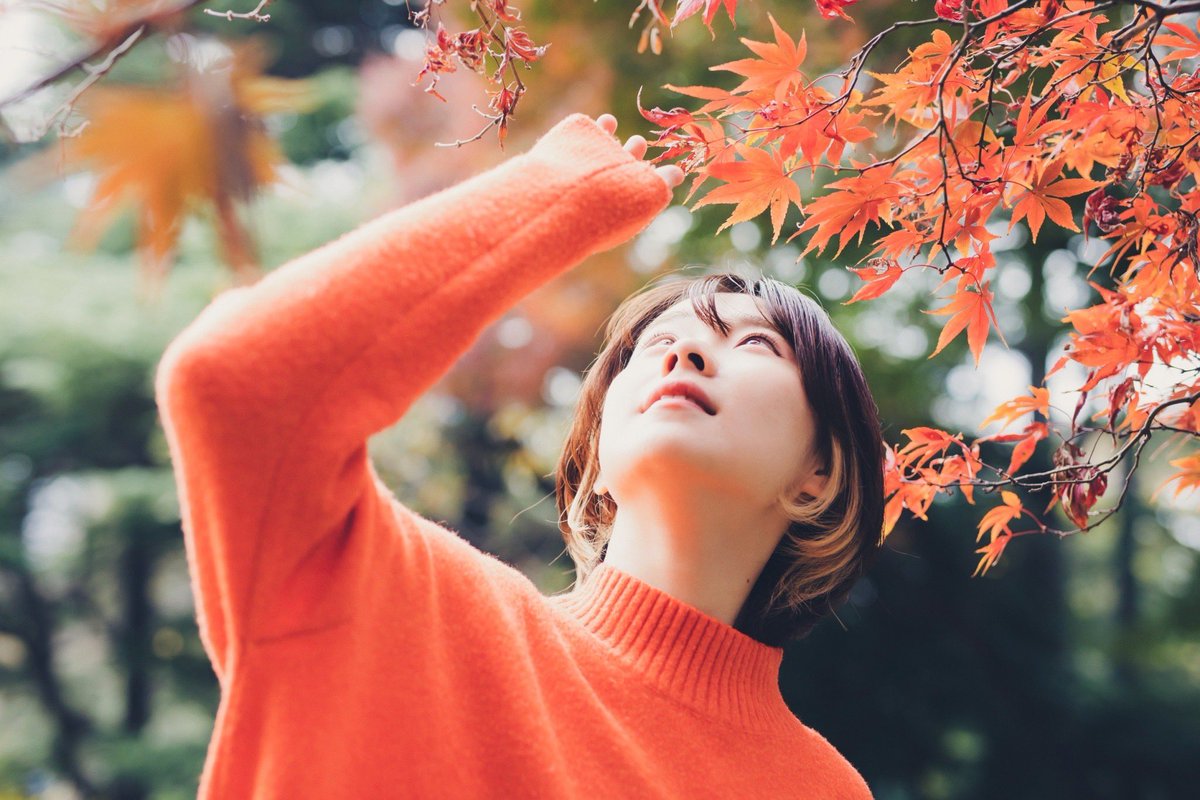 Ayaka Ishida / 石田彩夏 on Twitter: "紅葉滑り込みお写真🍁"