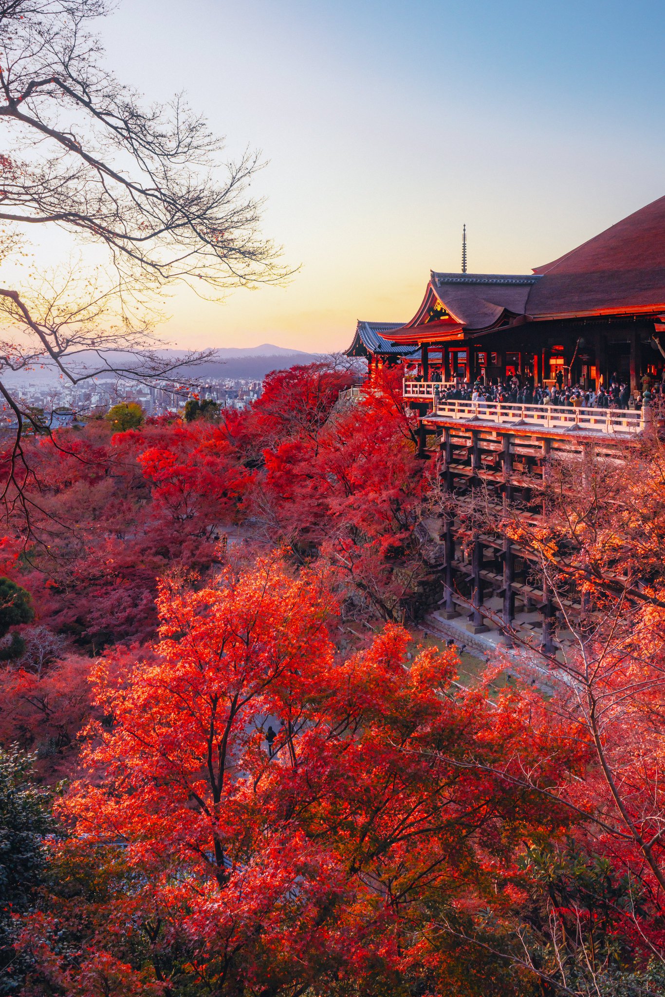 Kanata on Twitter: "冬の紅き清水寺。 https://t.co/3NUYS6ZACu" / Twitter