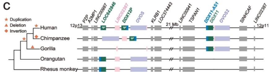 Genome Biology On Twitter Ma Li Ma Pkuzhangy And Co Explore The