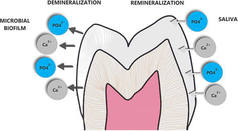 So you want to reverse a cavity and remineralize your teeth . . . This ...