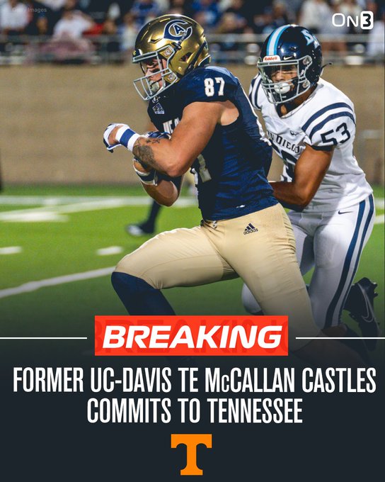Transfer Portal on Twitter: "Former UC Davis TE McCallan Castles has committed to Tennessee, he ...
