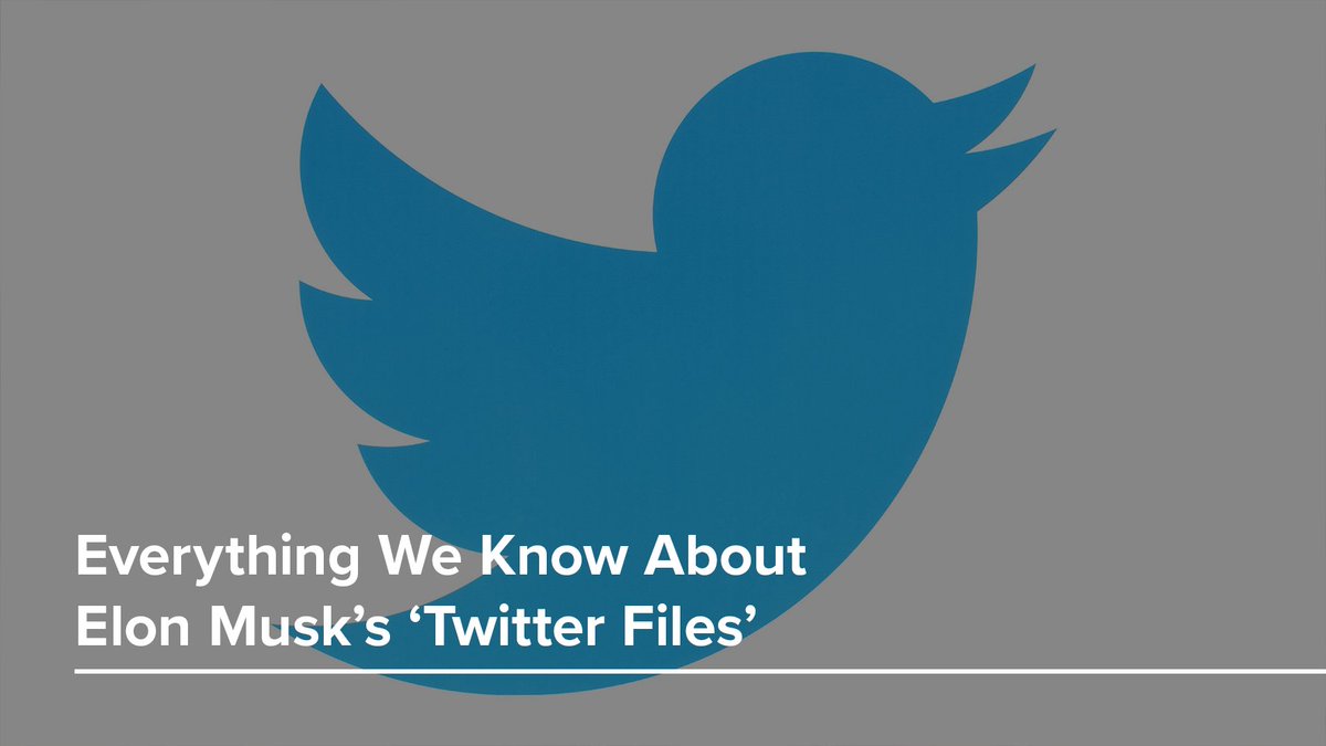 The Onion on Twitter: "The blue bird is named Gordon http://bit.ly/3P9Noo3"