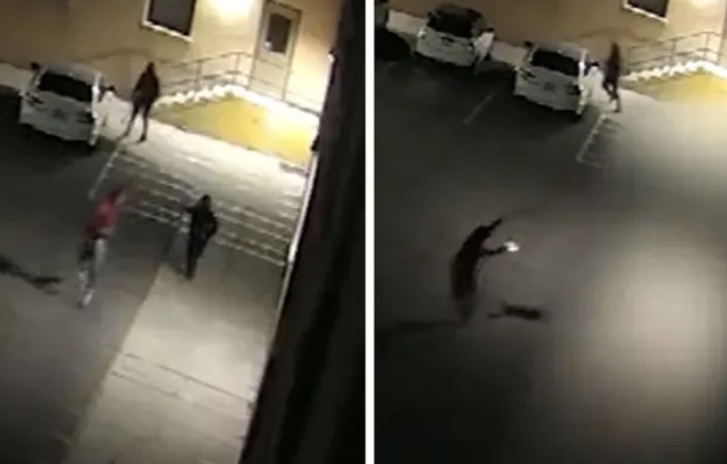 Robert Littal BSO on Twitter: "Video of NMSU Basketball Player Mike Peake Shooting Brandon ...