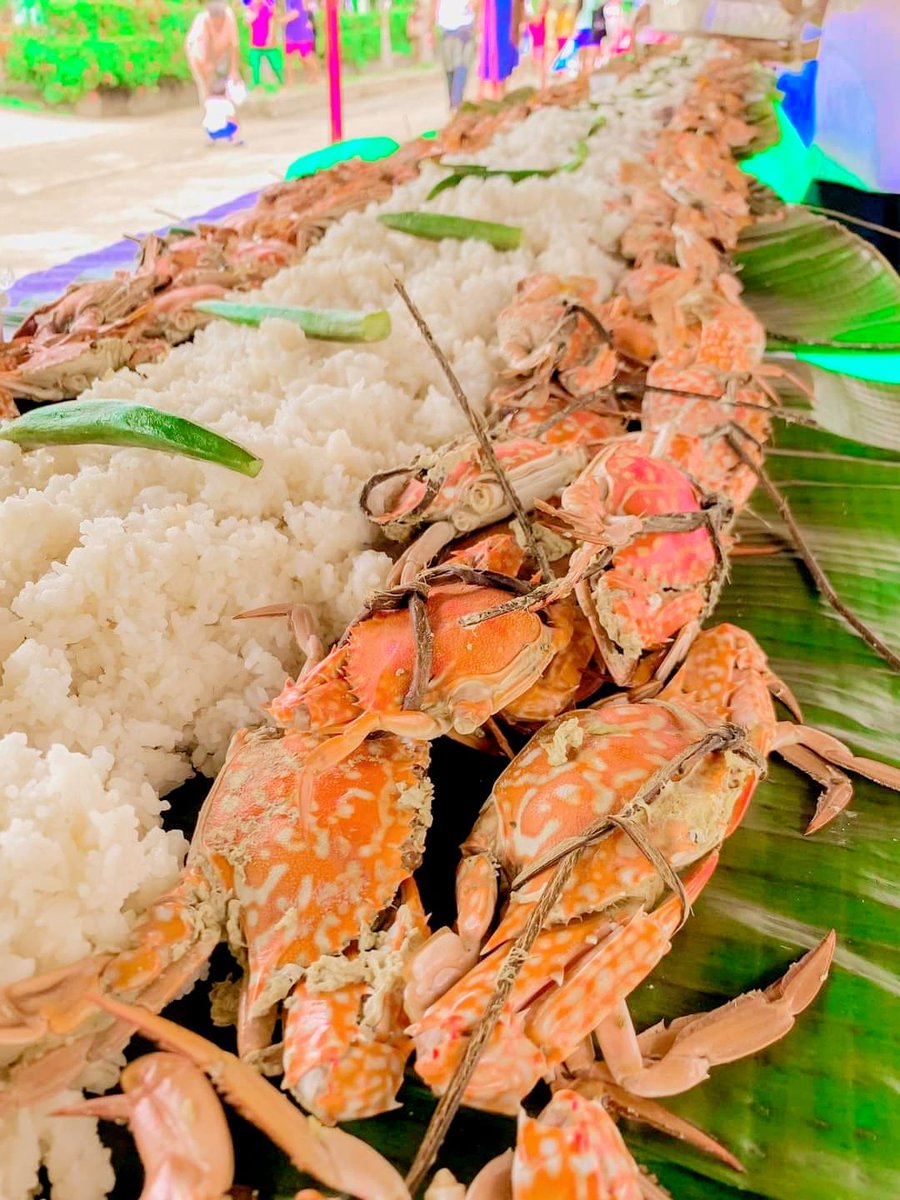 Daily Guardian on Twitter: "KASAG BOODLE FIGHT 😲 ️ LOOK: Banate, Iloilo is celebrating the ...