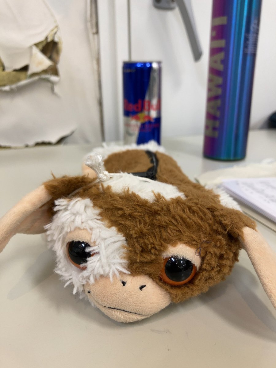 飯田さやか on Twitter: "RT @yoshihisa_staff: よしさん必須アイテム2点"