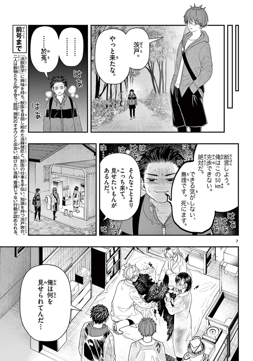 オオワシがなんで死んだか突き止める話