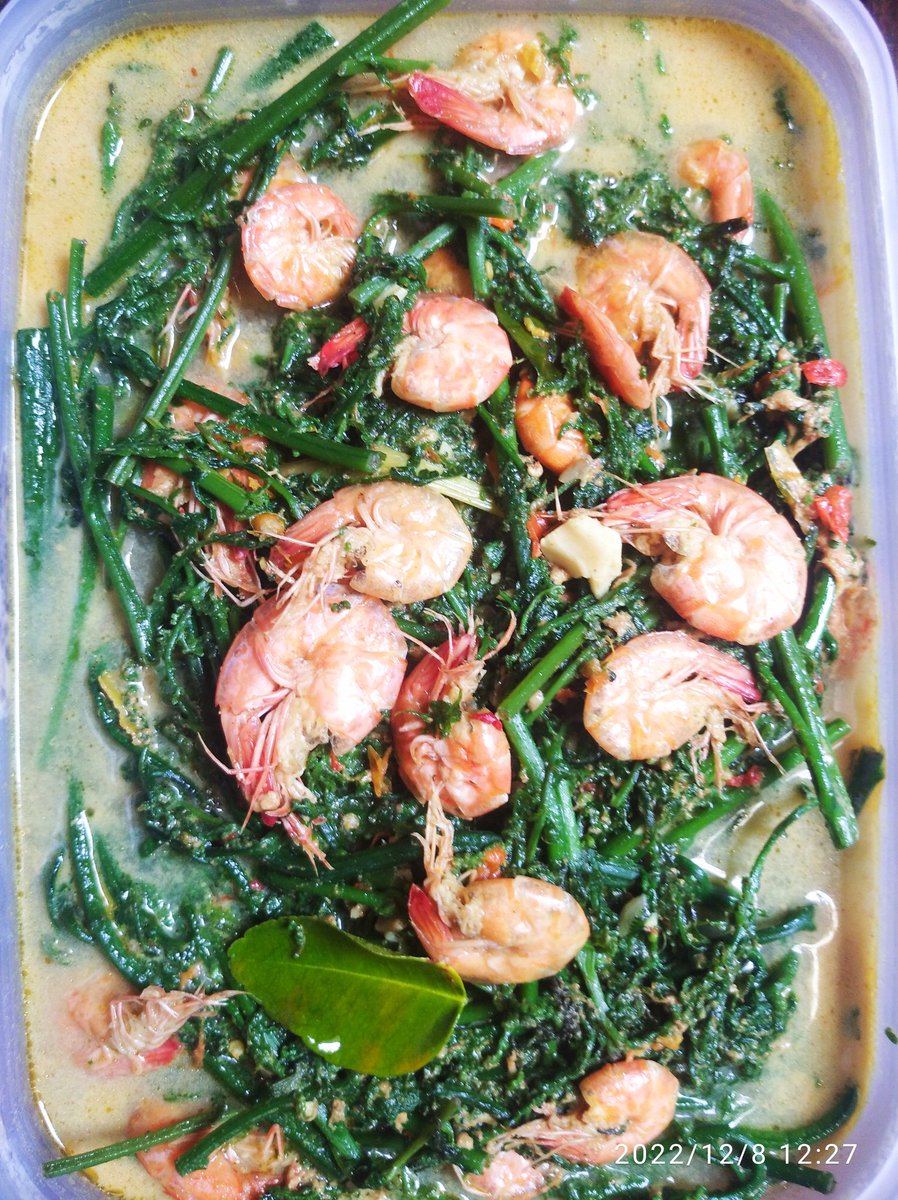 GULAI PUCUK PAKIS Bahan: 3 ikat pakis/paku, petiki daun & pucuknya yg ...