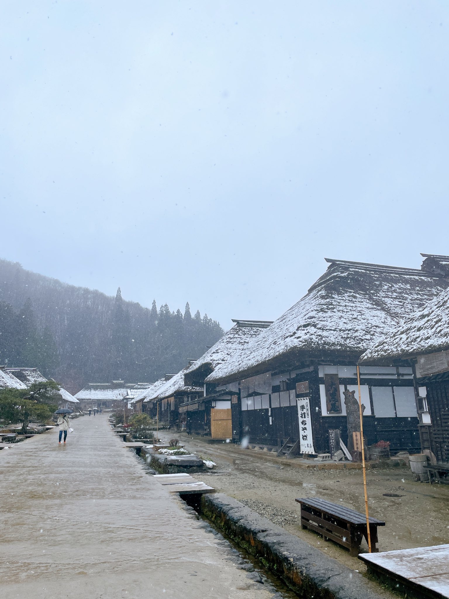おにく On Twitter ちょぴっと遠出したった💪雪降ってめちゃ寒い ️😌まだ真冬のコートでなくても平気じゃろと思って出たけど全然平気じゃない。そして本当は名物のネギ一本を箸代わりに