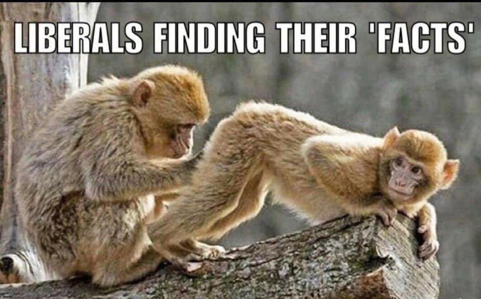 Patriots 4 Peace ️🇺🇲 DEMOCRATS SUCK!! on Twitter: "@dbongino https://t.co/bx5vEl76vn" / Twitter