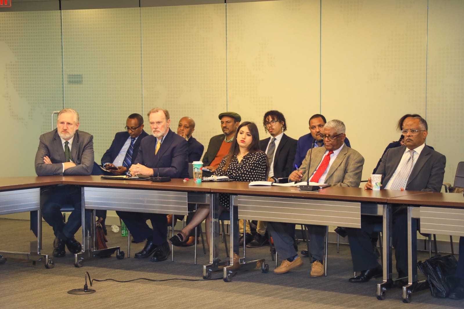 Introducing: Martha Mebrahtu - Mereja.Forum