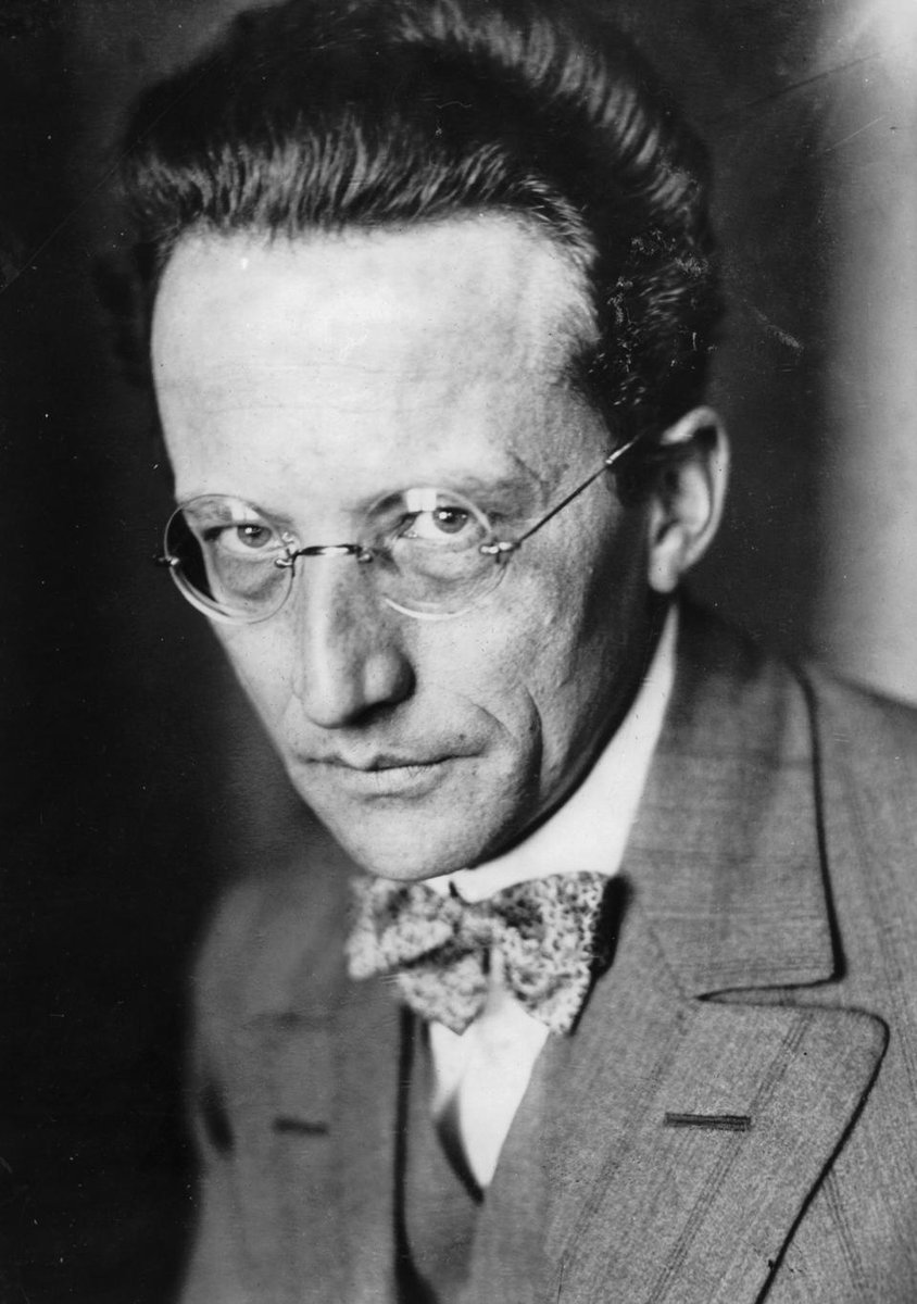 Erwin Schrodinger Fun Facts
