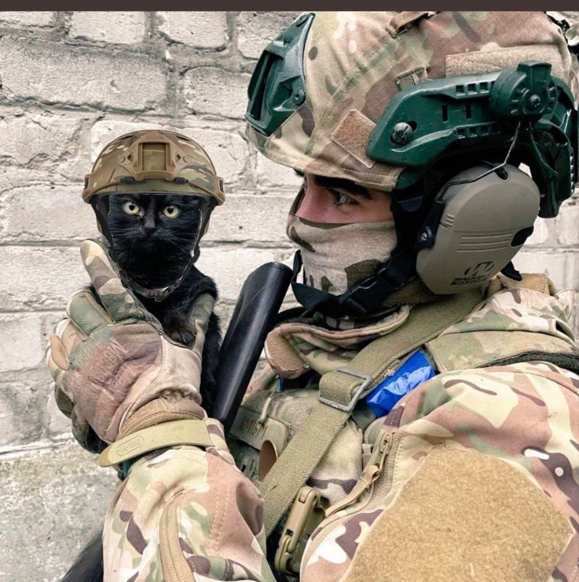 GAW on Twitter: "RT @trinzu: Here is a real batnik killer. Bio lab combat cat ;)"