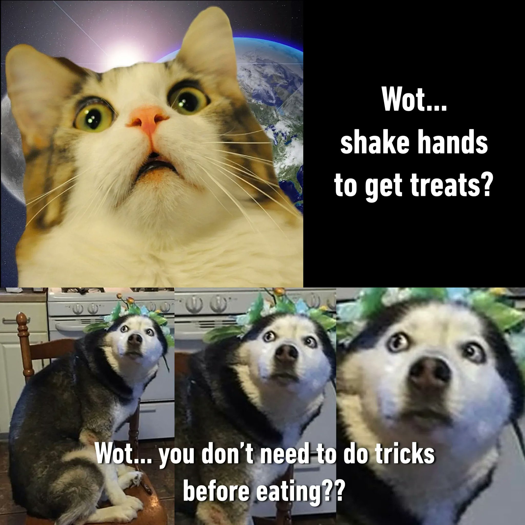 9gag пёџ Memeland On Twitter рџ ї Https T Co Mpov3xqvyy Twitter
