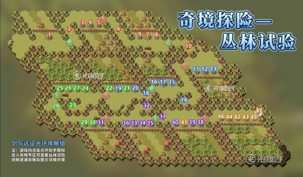 KEIKO on Twitter: "奇境探検【森の試験】の攻略です( ´ ꒳ ` )ﾉ https://t.co/ipIVZCuMHt #奇境探検 #森の試験 #AFKアリーナ https ...