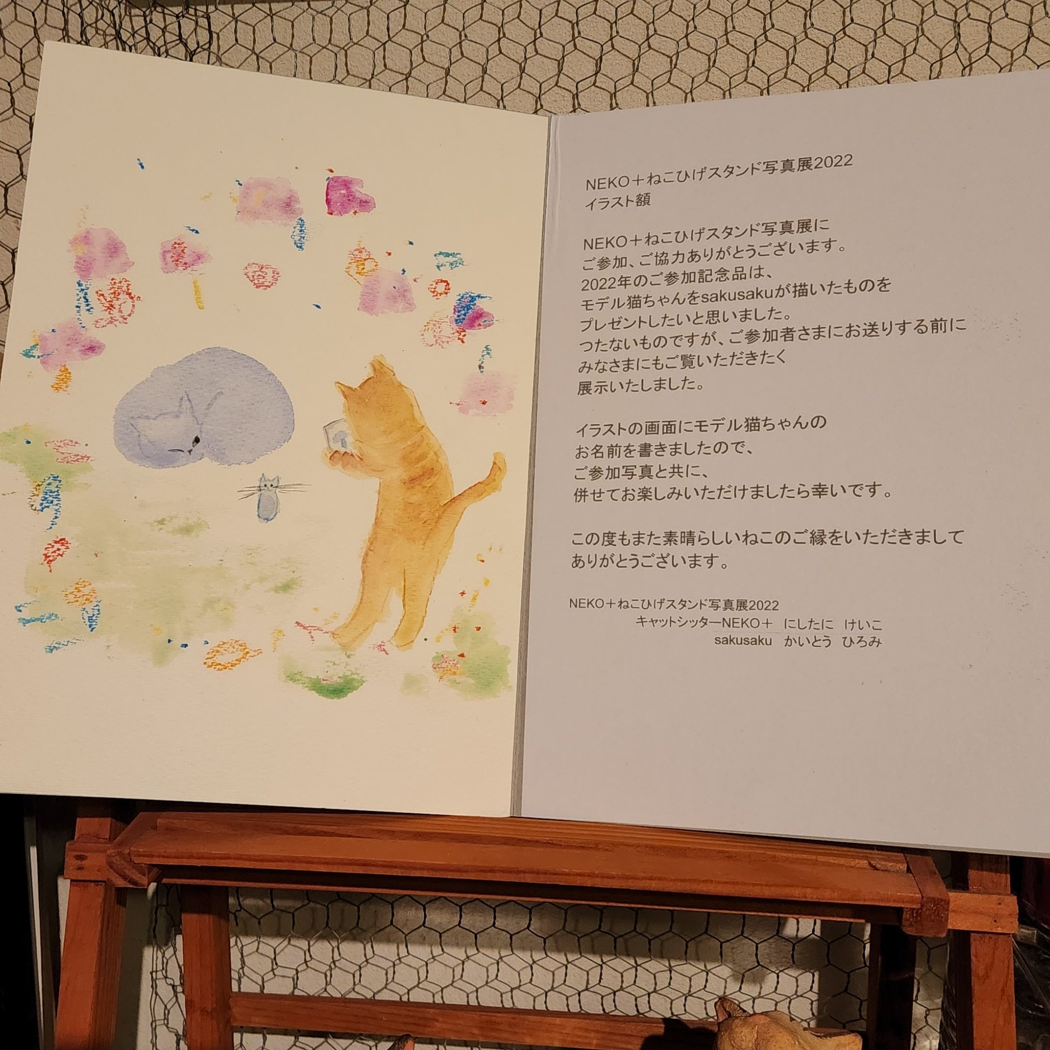 みちか@ねこ部 (@mzdao_michika) / Twitter